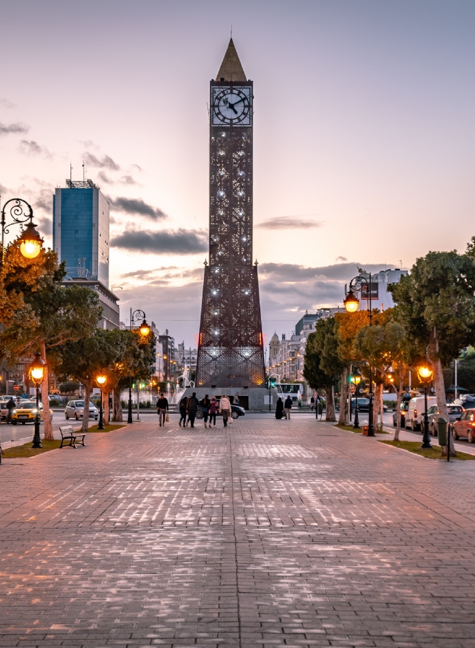 Country Guides | Andersen | Tunisia